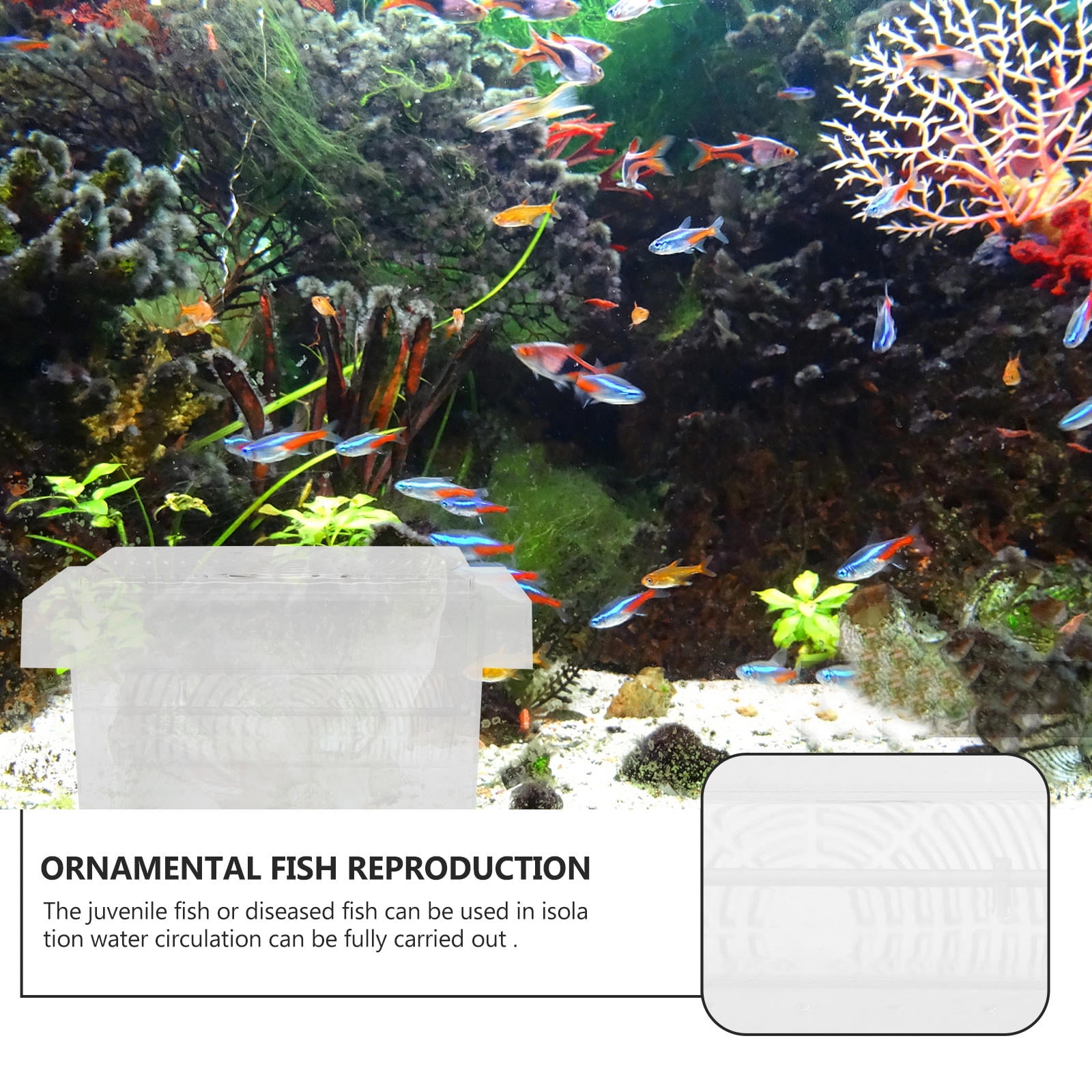 OUNONA Isolation Box Nursery for Injured Fish Aquariums Bowl Tank White ...