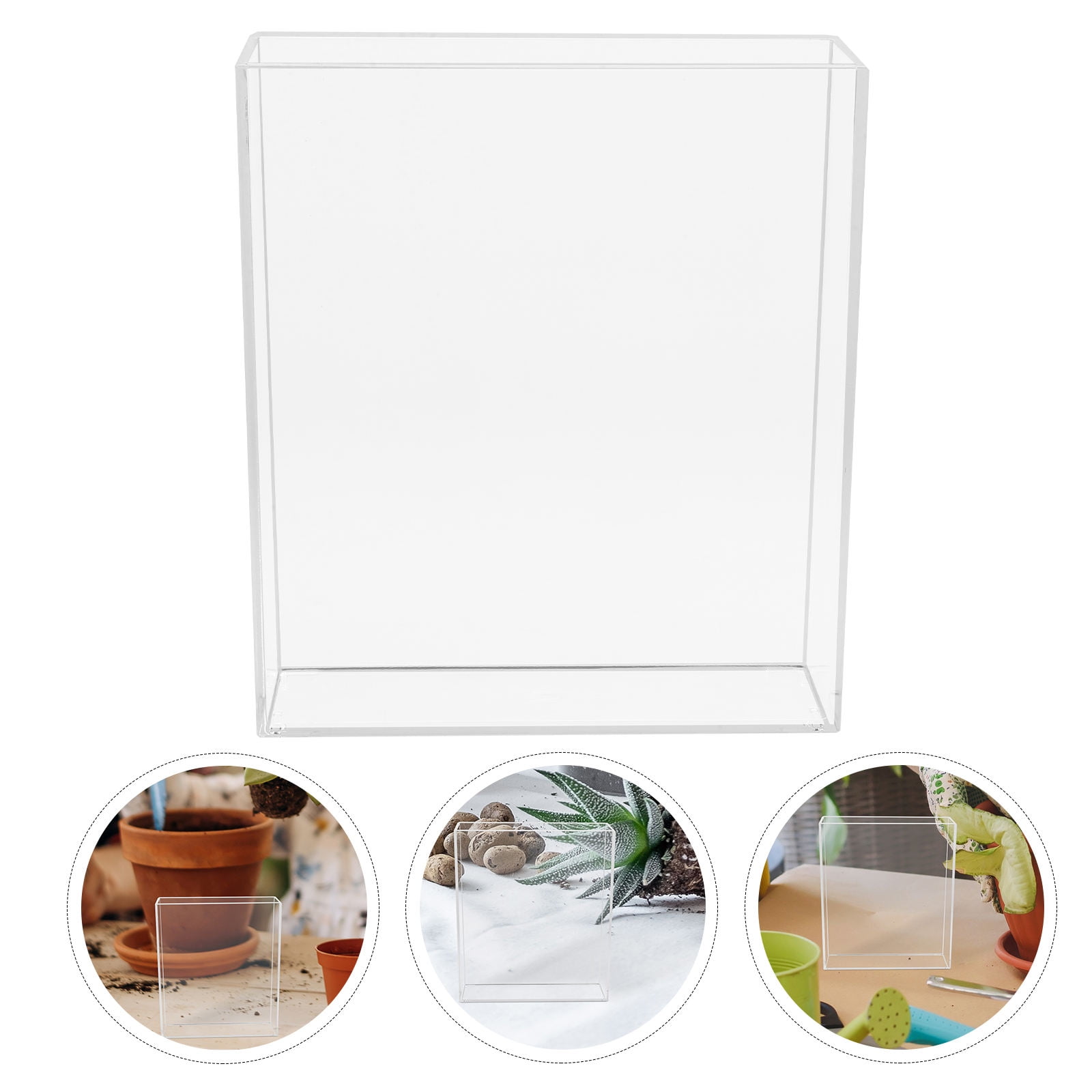 Tineasur Toddler Science Root Observation Box Transparent Acrylic 1Pack ...