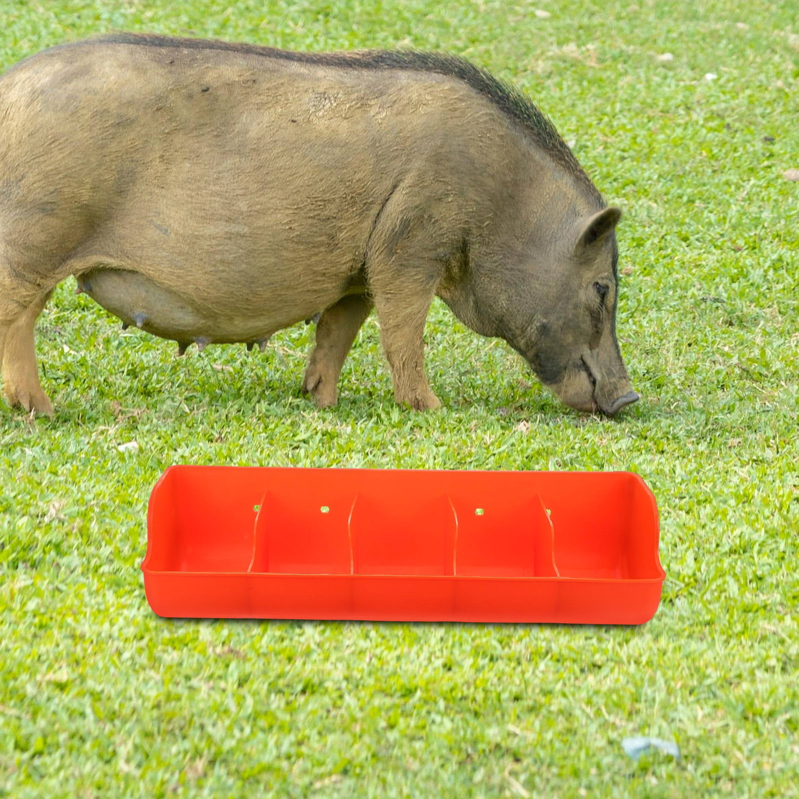 OUNONA Pig Feeder Trough 5 Slots Fence Feeder Poultry Feeder Cattle ...