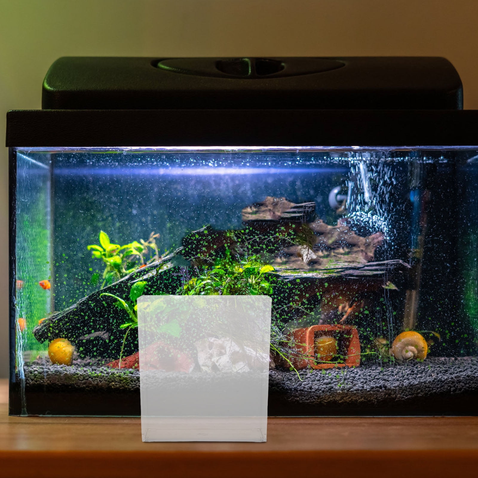 OUNONA Portable Transparent Acrylic Fish Bowl for Betta Small and Lightweight Ideal for Home Use ...