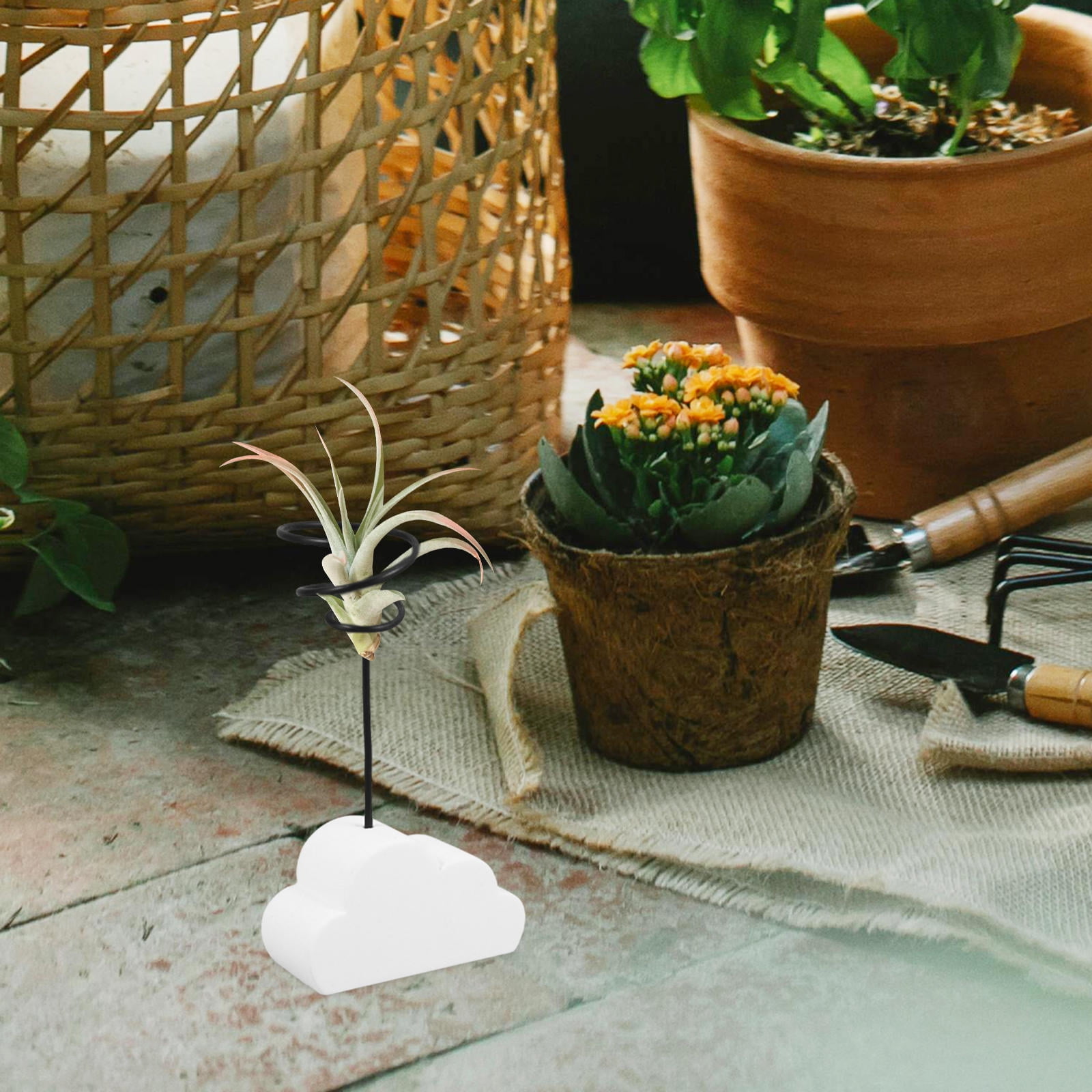 OUNONA Practical White Cement Plant Holder Rack for Air Plants and ...