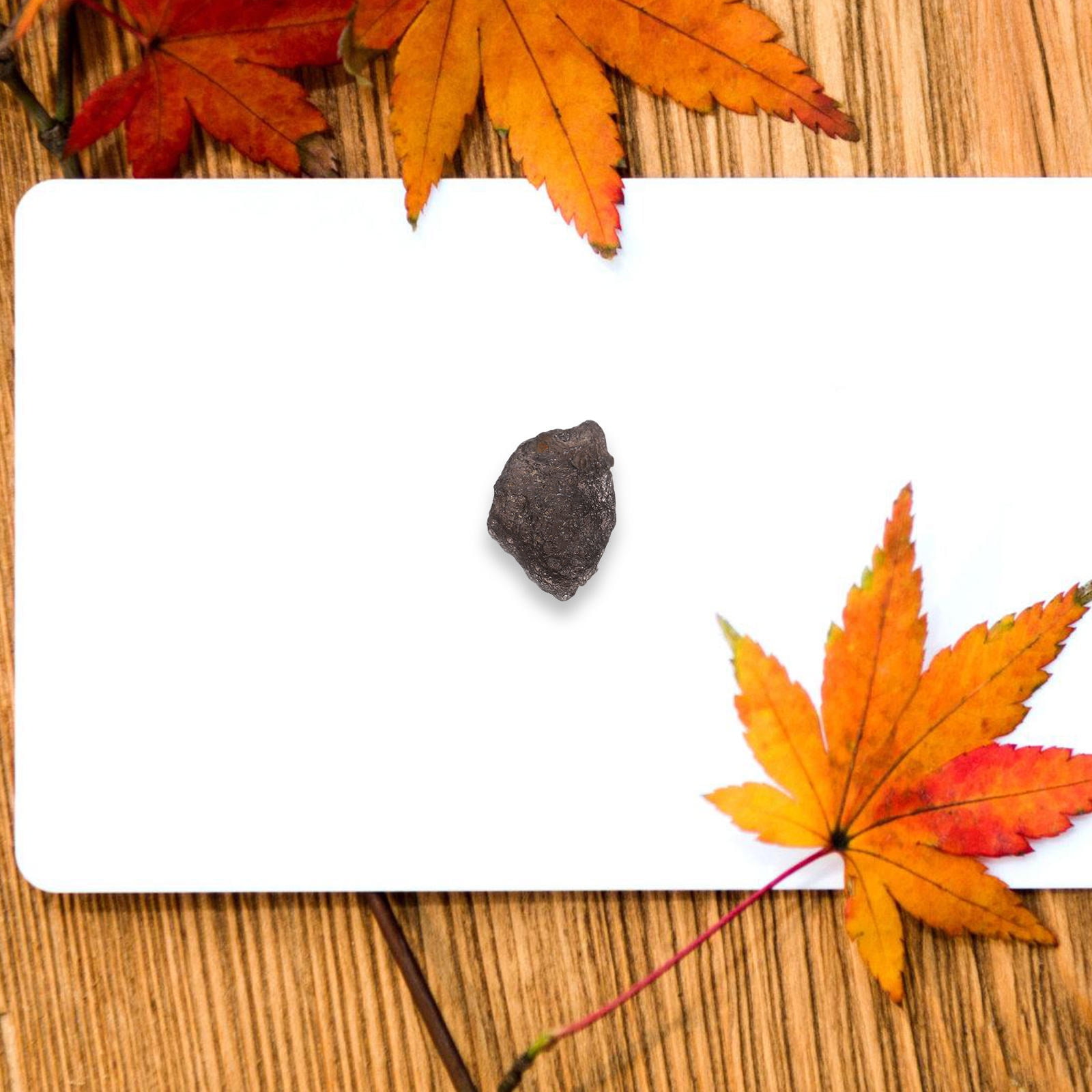 OUNONA Science Meteorite Specimen Rock Space Fans Sample Minerals ...