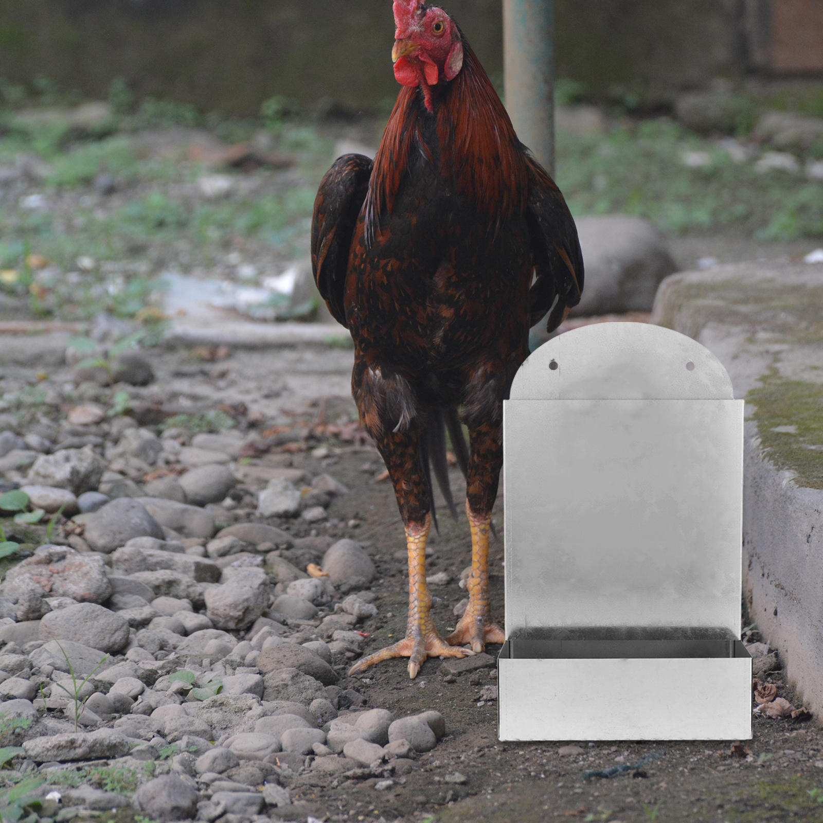 OUNONA Metal Chicken Feeder Trough Silver Automatic Feeding Versatile ...