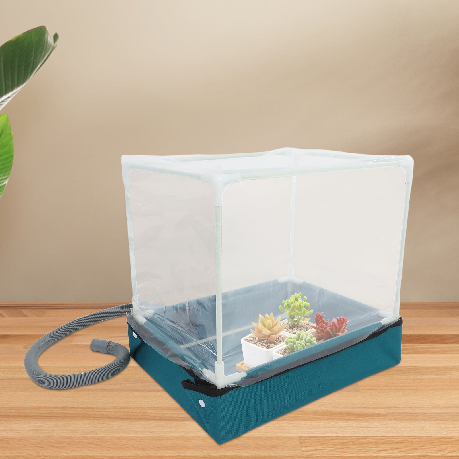 OUNONA Small Indoor Greenhouse Succulent Greenhouse Container Tabletop ...