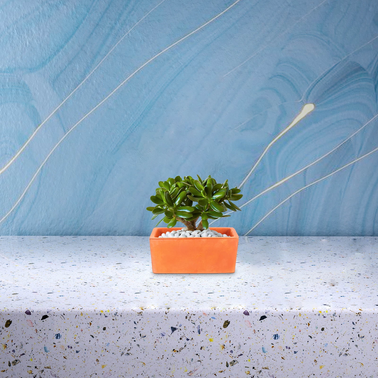 OUNONA Small Terracotta Clay Flower Pots with Hole Rectangular Cactus ...