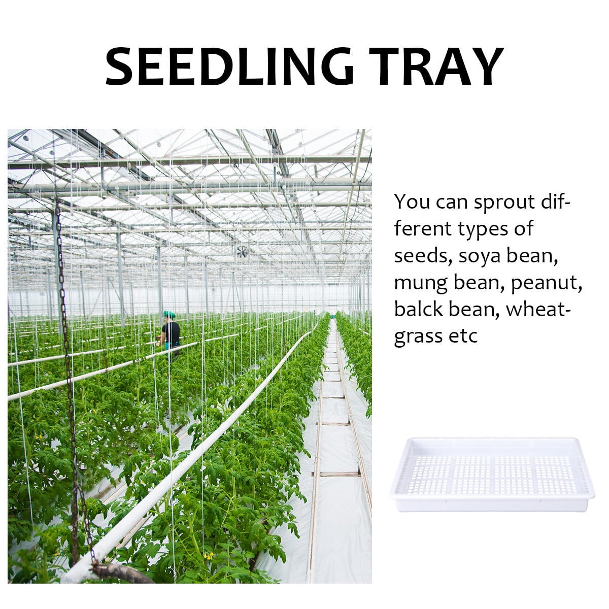 OUNONA Sprouting Trays for Microgreens Seedling Gardening Vegetable ...