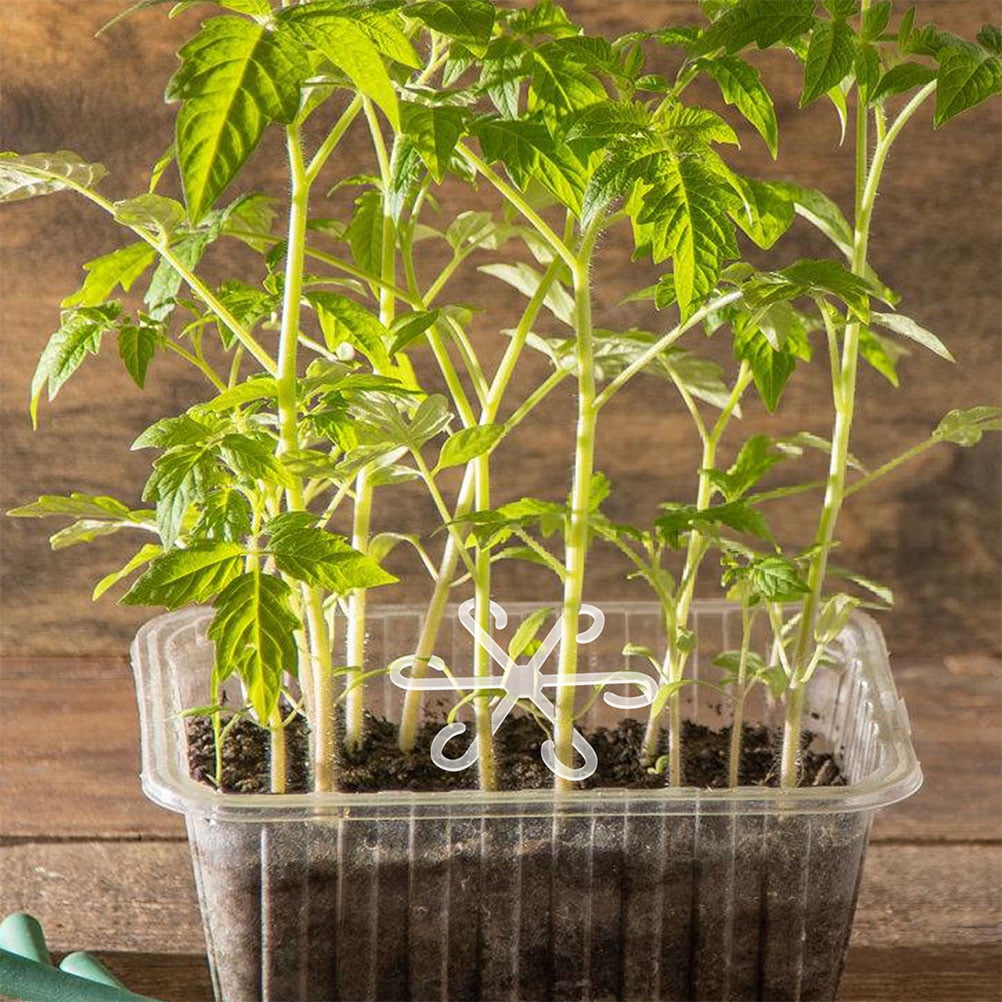 OUNONA Transparent Acrylic Plant Stem Support Holder for Flowers ...