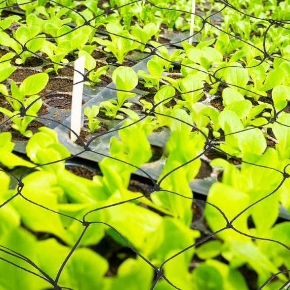 OUNONA Trellis Net Bean Trellis Netting For Garden Outdoor Trellis Net ...