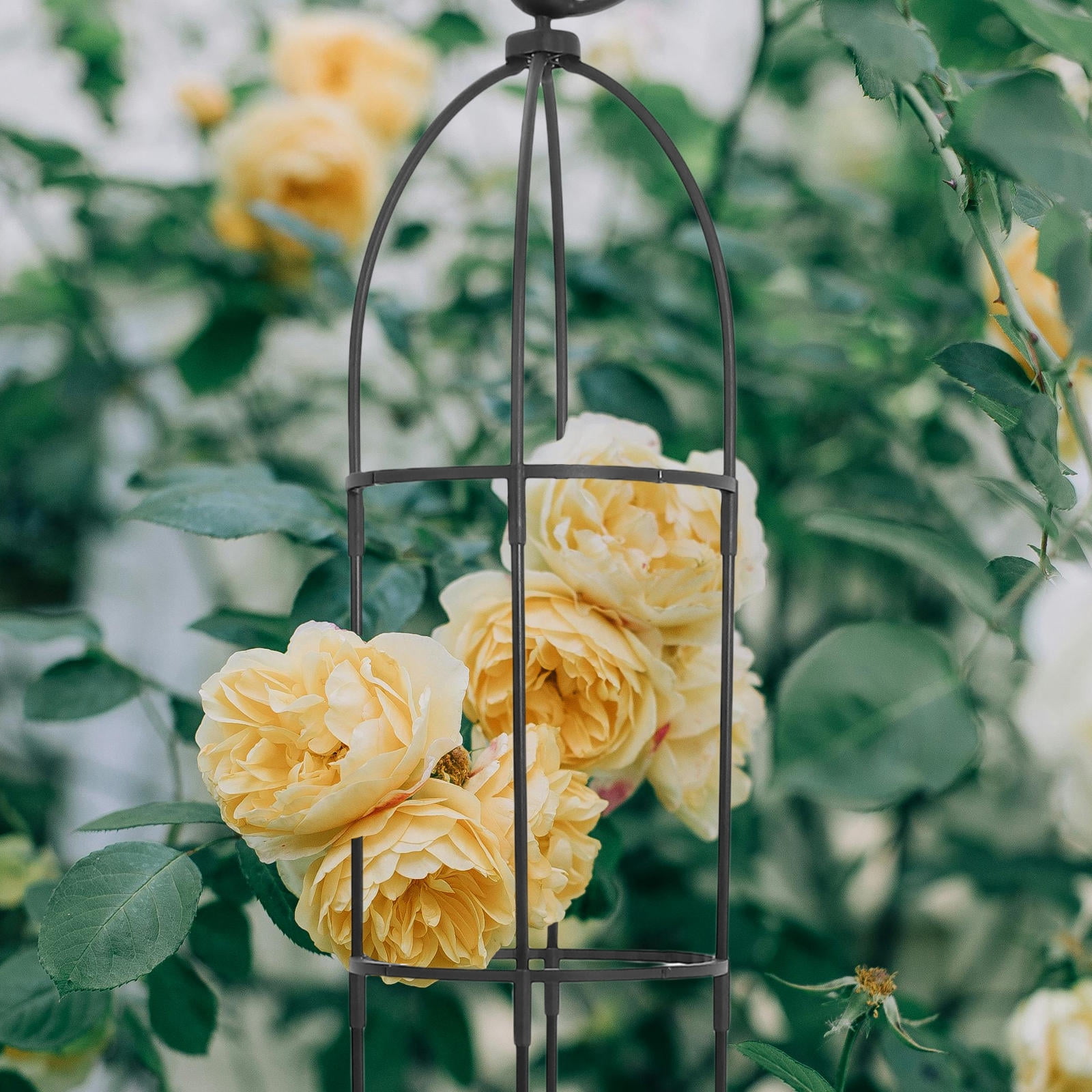 OUNONA Trellis for Climbing Plants Outdoor Indoor Supports Flower Stand ...