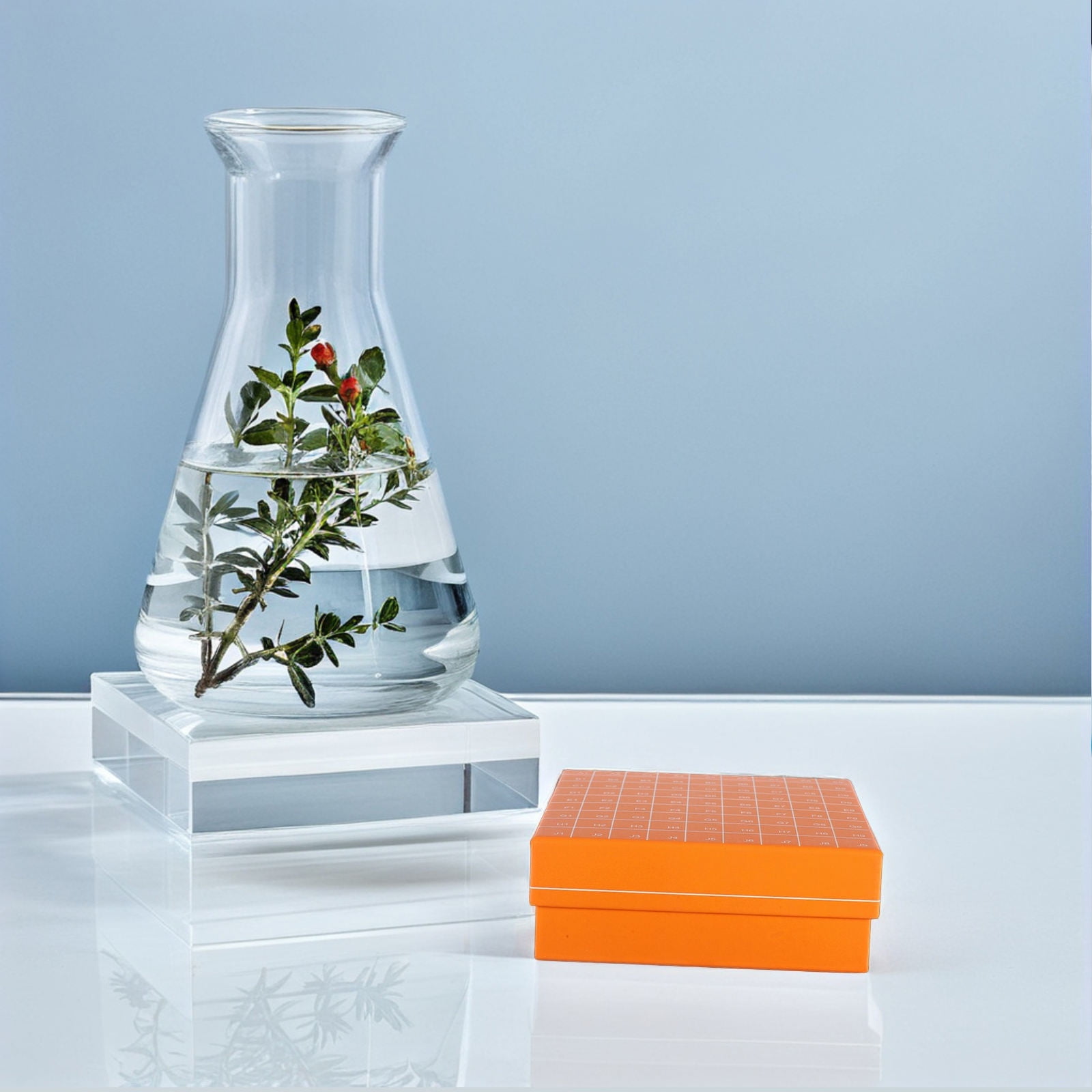 OUNONA Unique 81-Grid Laboratory Test Tube Freezer Storage Box Cryotube ...