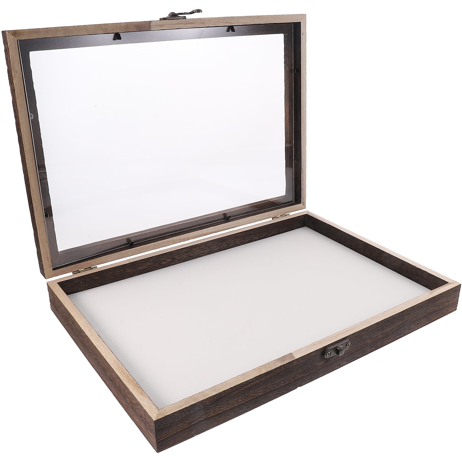 OUNONA Insect Specimen Box Wooden Display Case Assorted Color Acrylic ...