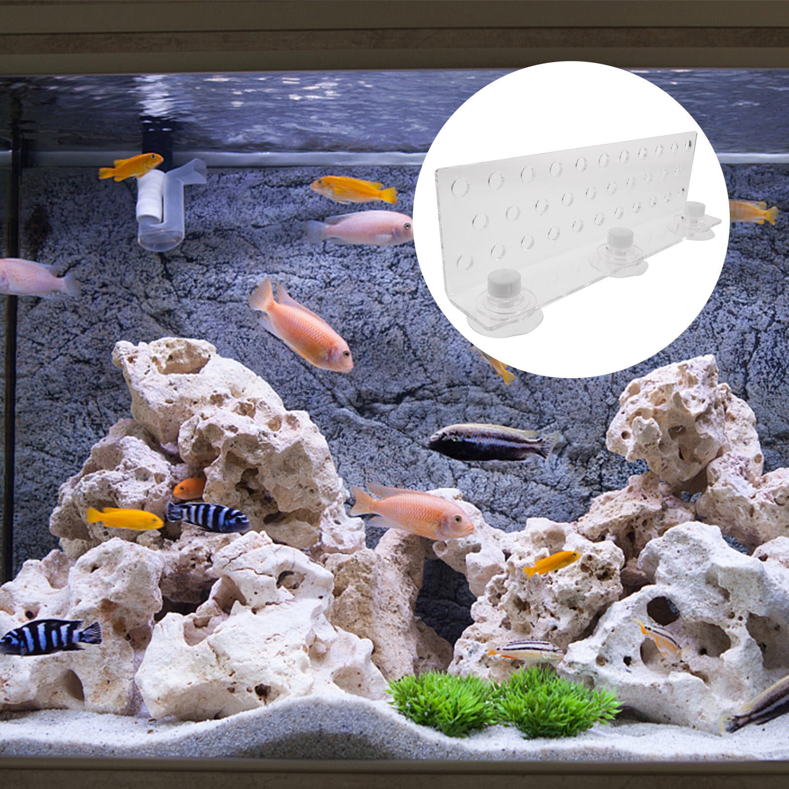 OUNONA White Acrylic Coral Holder for Fish Hole Coral Clips Aquarium ...