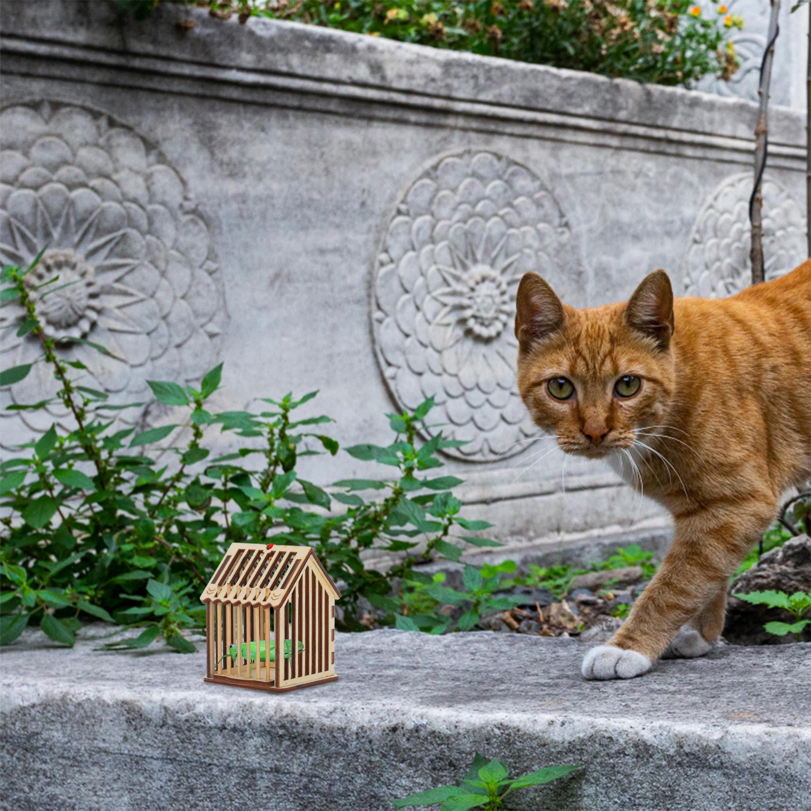 OUNONA Wooden Cricket Cage For Wild Cricket Breeding Portable Habitat ...