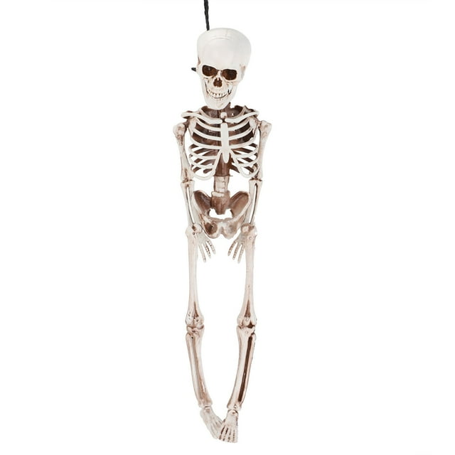 OUTLOU Halloween Skeleton Life Size Full Body Posable Joints Human ...