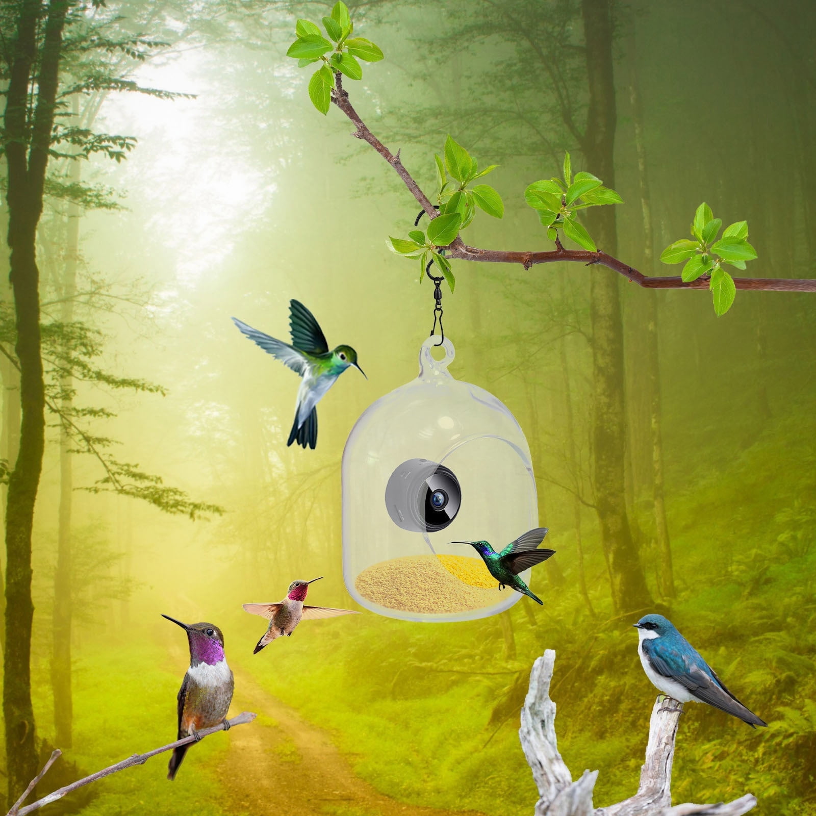 OUTOLOXIT Hummingbird Feeders, Garden Decor Bird Feeder, HD 1080P Bird ...