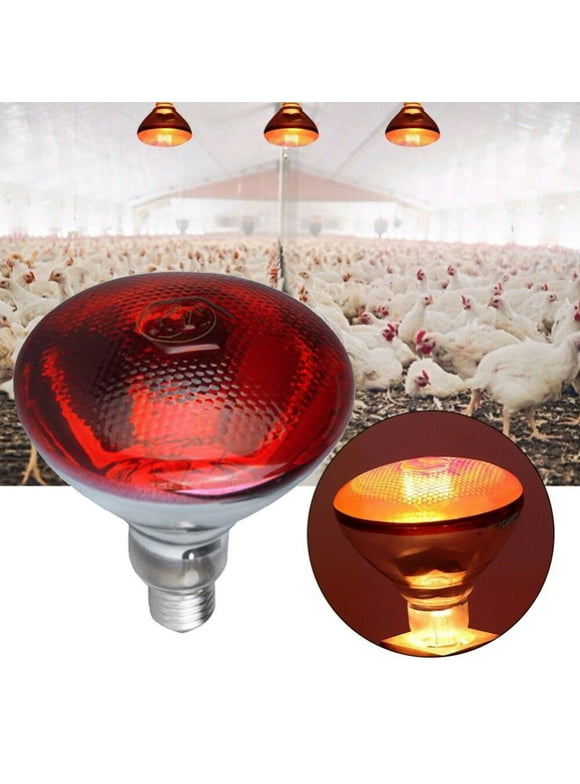 Chick Heat Lamps in Chicken Supplies - Walmart.com