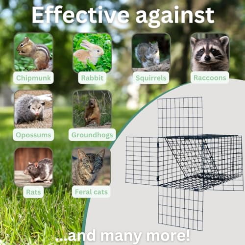 "OWDE" 5" One-Way Door Excluder –Professional Black Mesh Evictor Trap ...