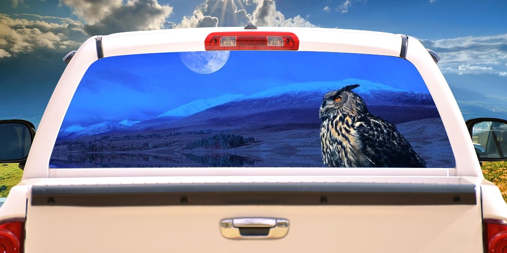OWL 1 16"x54" Rear Window Graphic compact pickup truck tint film back ...
