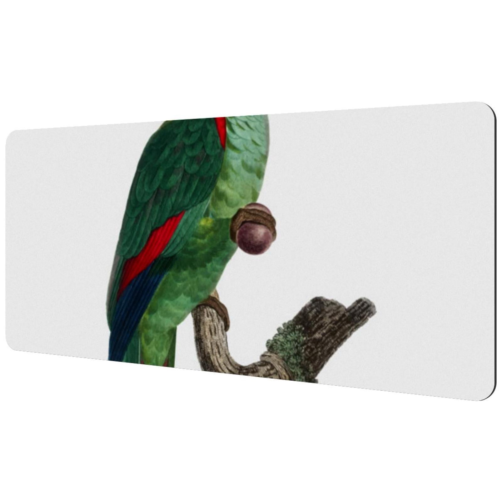 OWNHE Turquoise Fronted Parrot Pattern Rectangular Extended Desk Pad ...