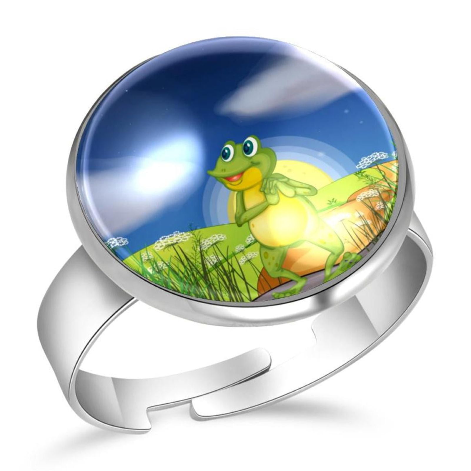 OWNMEMORY a Frog Looking at the Bright Star Pattern Stainless Steel ...