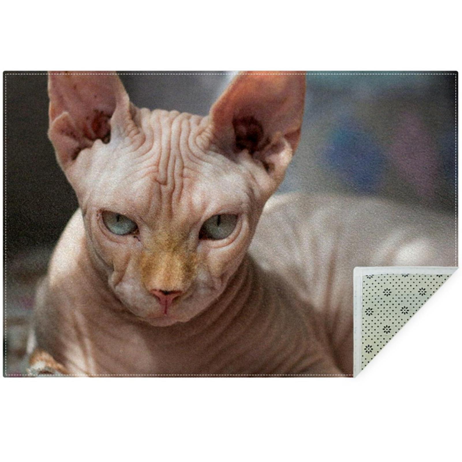 OWNNI Home Decor Sphynx Cat Hairless Pattern Modern Polyester Office ...
