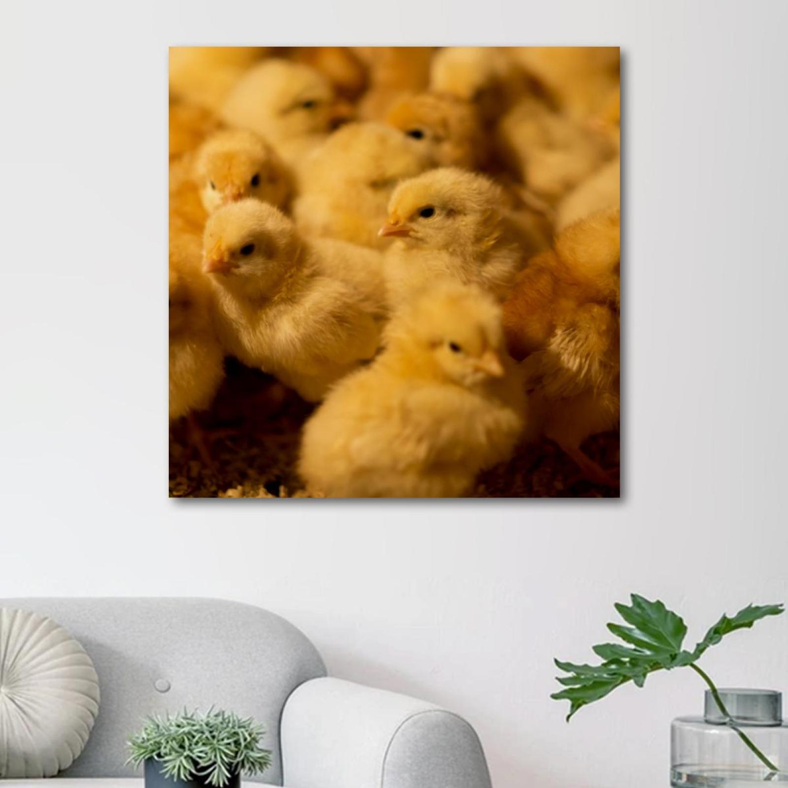 OWNSERIES Cute Chicks on Henhouse Pattern Canvas Wall Art Paintings for ...