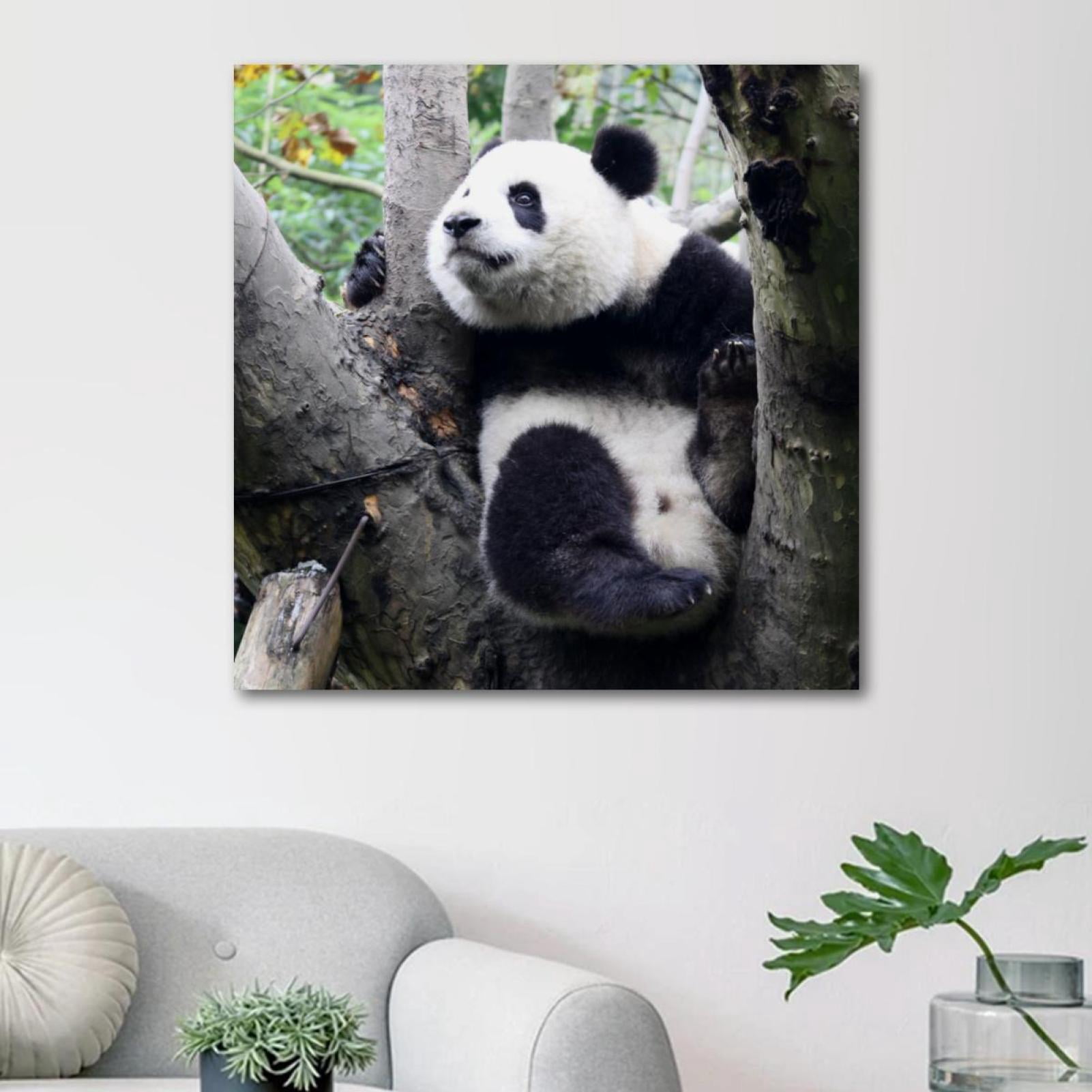 OWNSERIES Cute Panda Baby Climbing Tree Pattern Canvas Wall Art ...