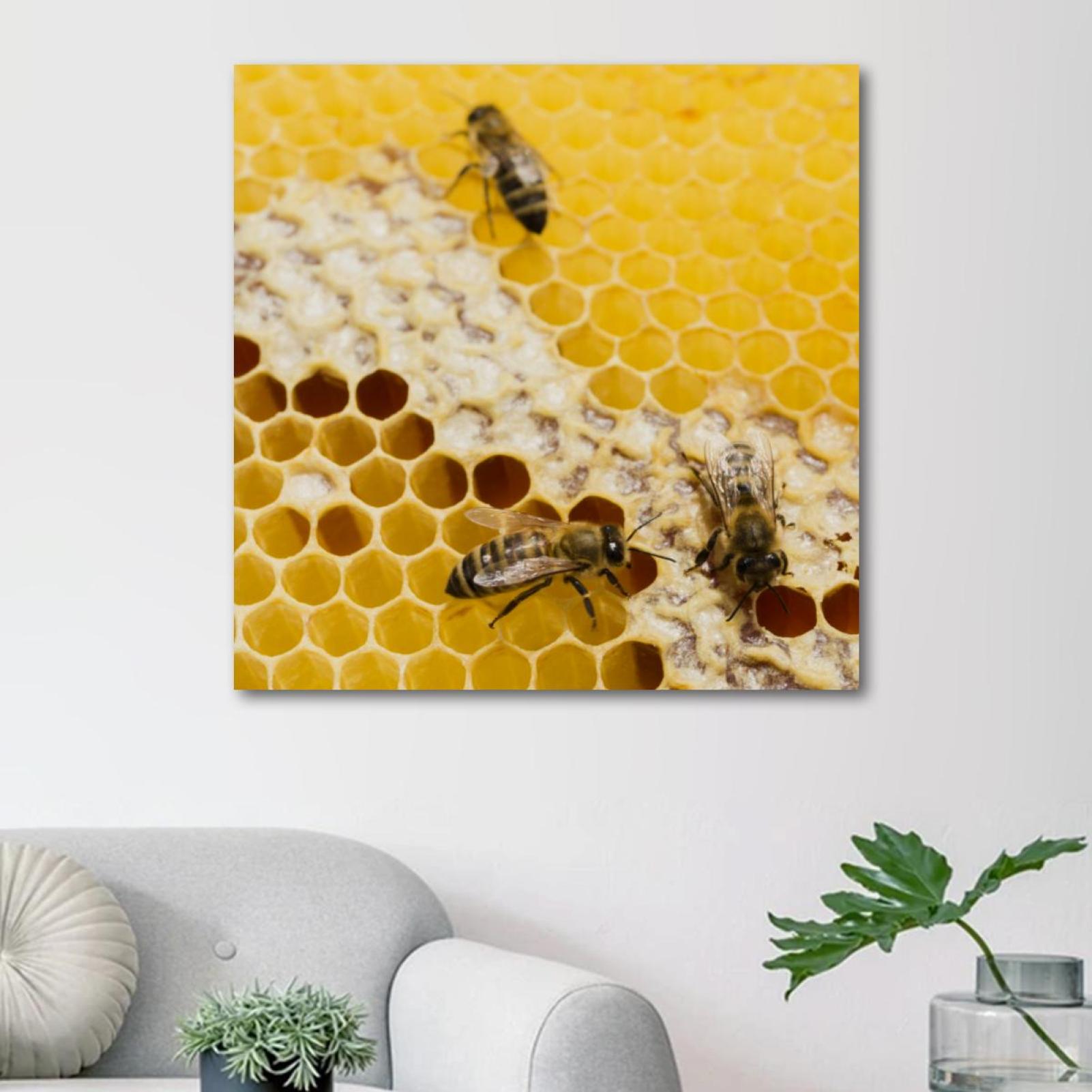 OWNSERIES Honeycomb with Bees Pattern Canvas Wall Art Paintings for ...