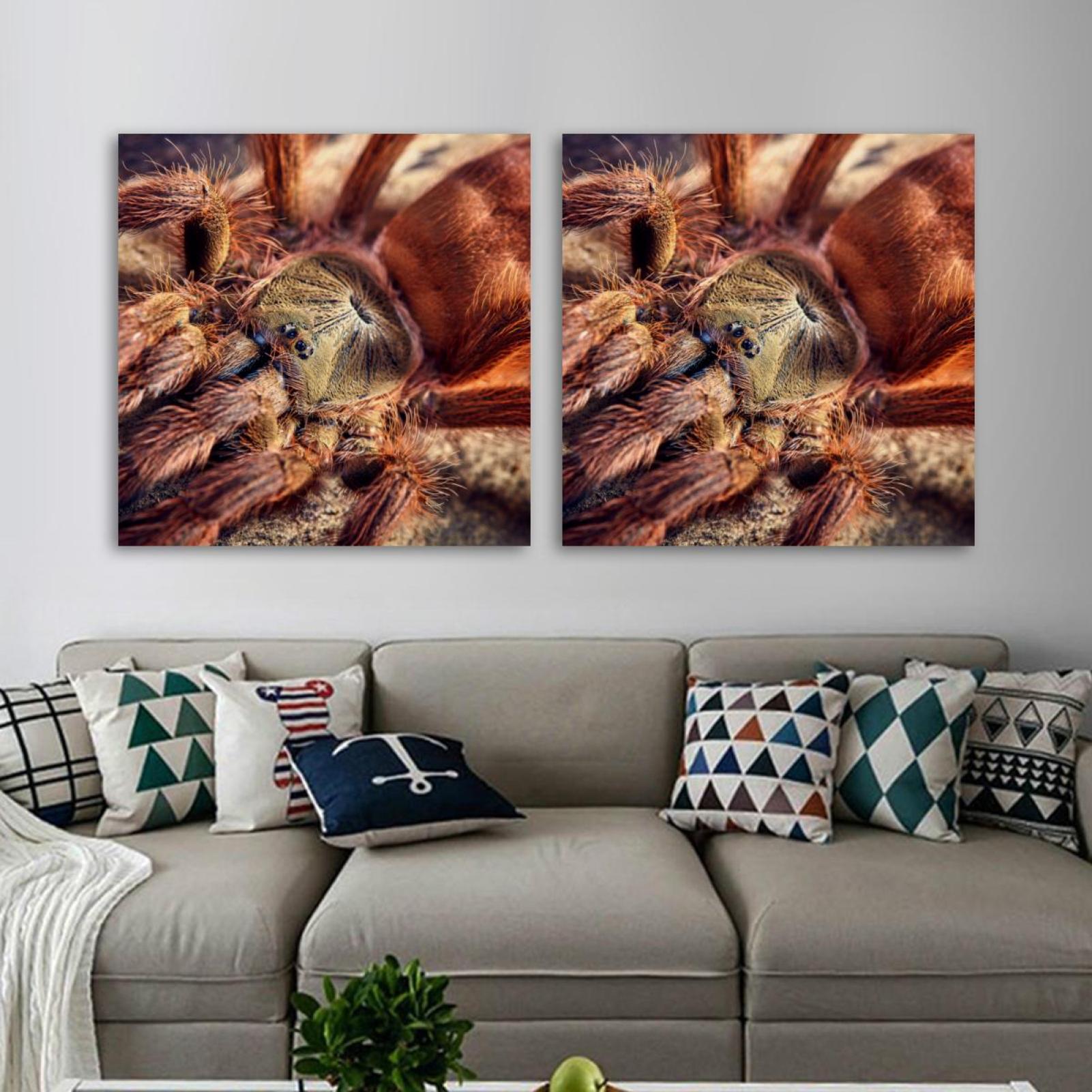 OWNSERIES Mexican Red Knee Tarantula Big Spider Pattern 2PC Canvas Wall ...