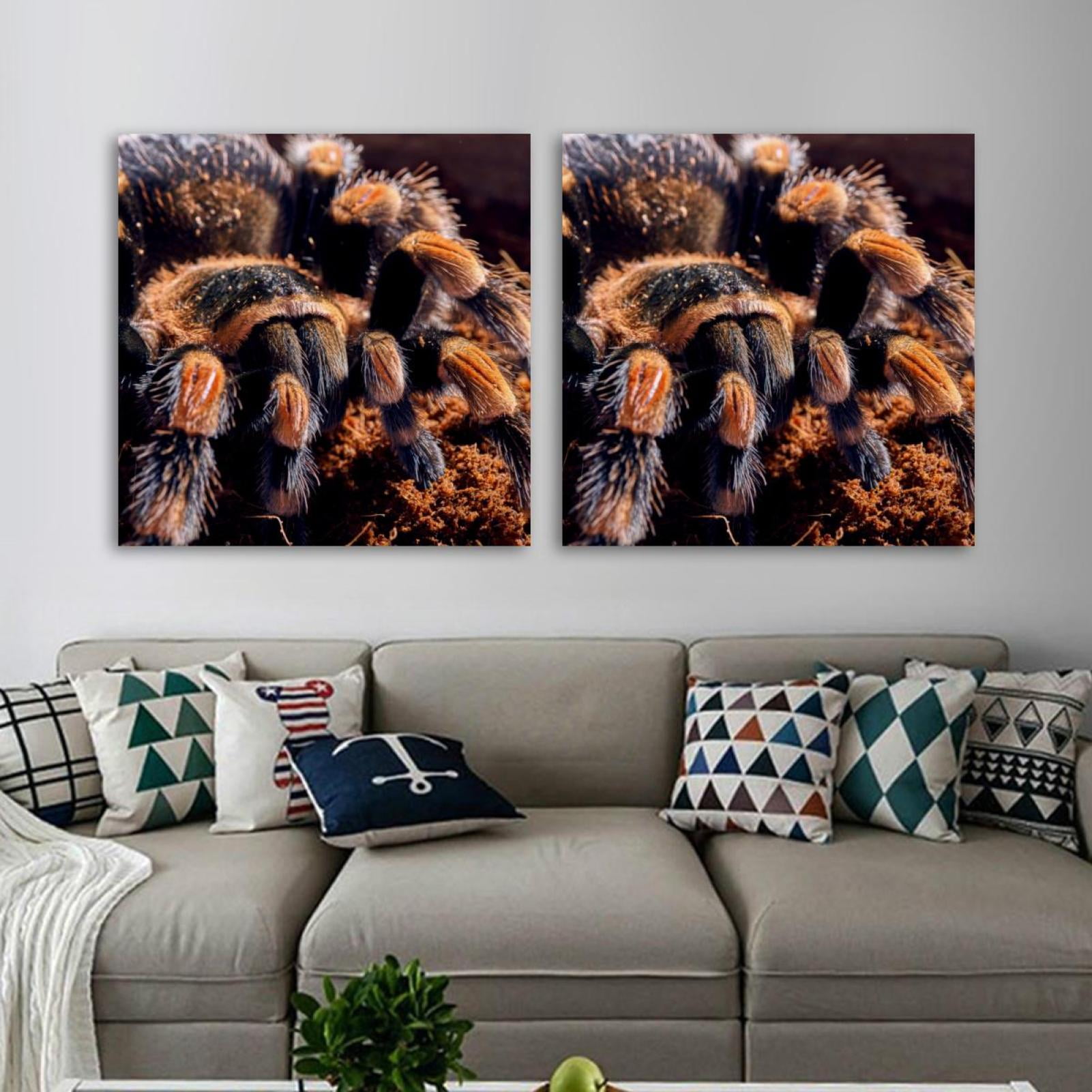 OWNSERIES Mexican Red Knee Tarantula Spider Pattern 2PC Canvas Wall Art ...