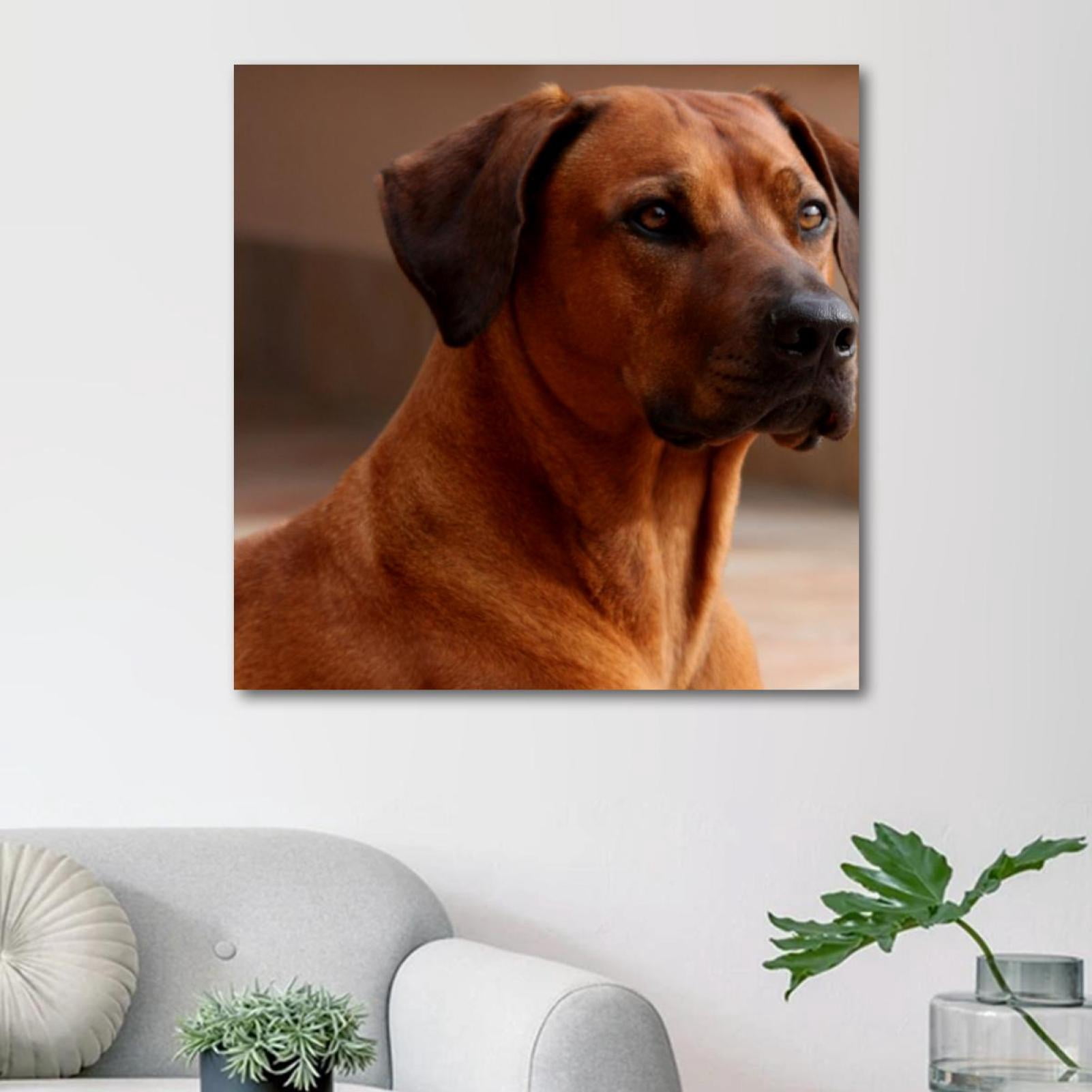 OWNSERIES Rhodesian Ridgeback Dog Pattern Canvas Wall Art Paintings for ...