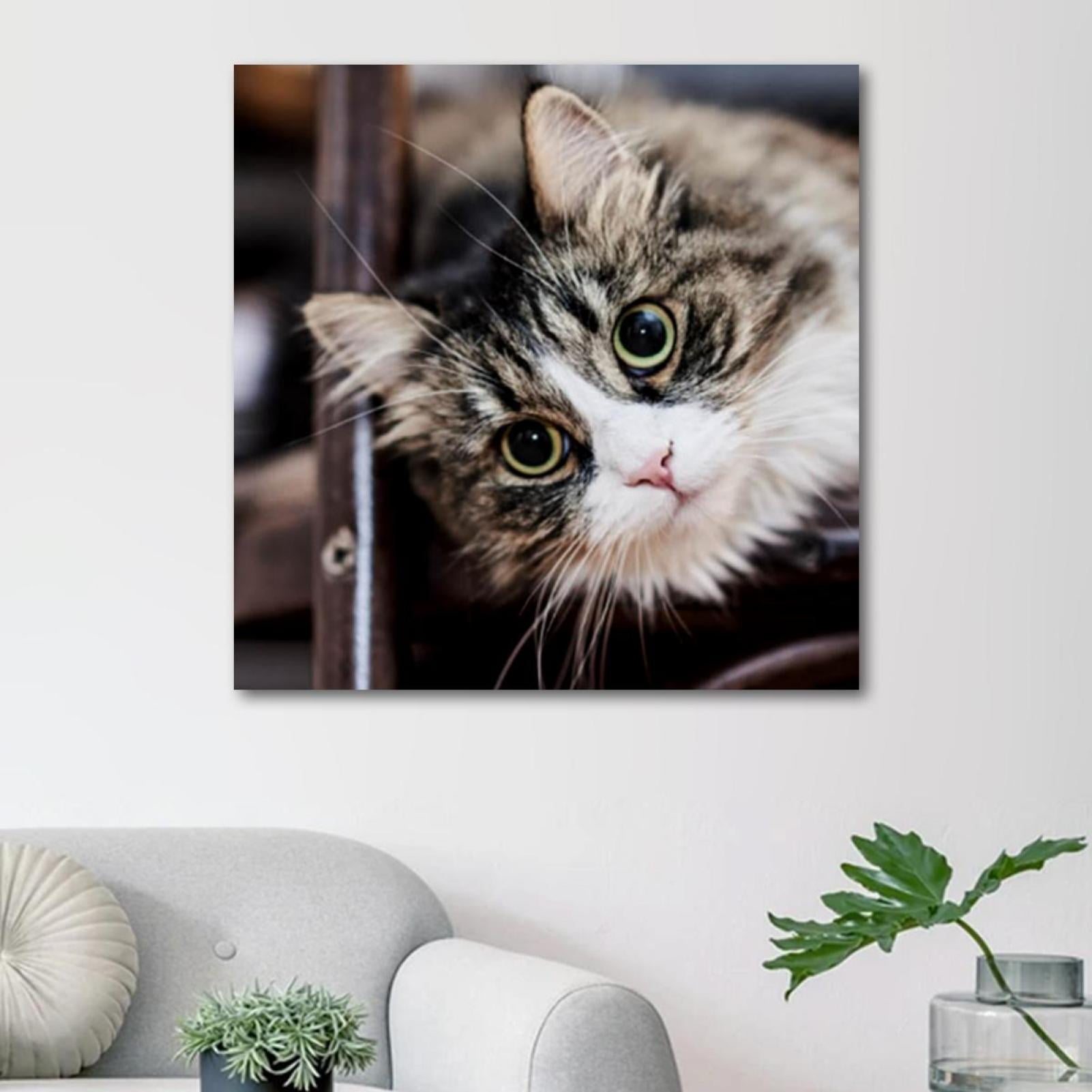 OWNSERIES Young Cute Cat Pattern Canvas Wall Art Paintings for Living ...