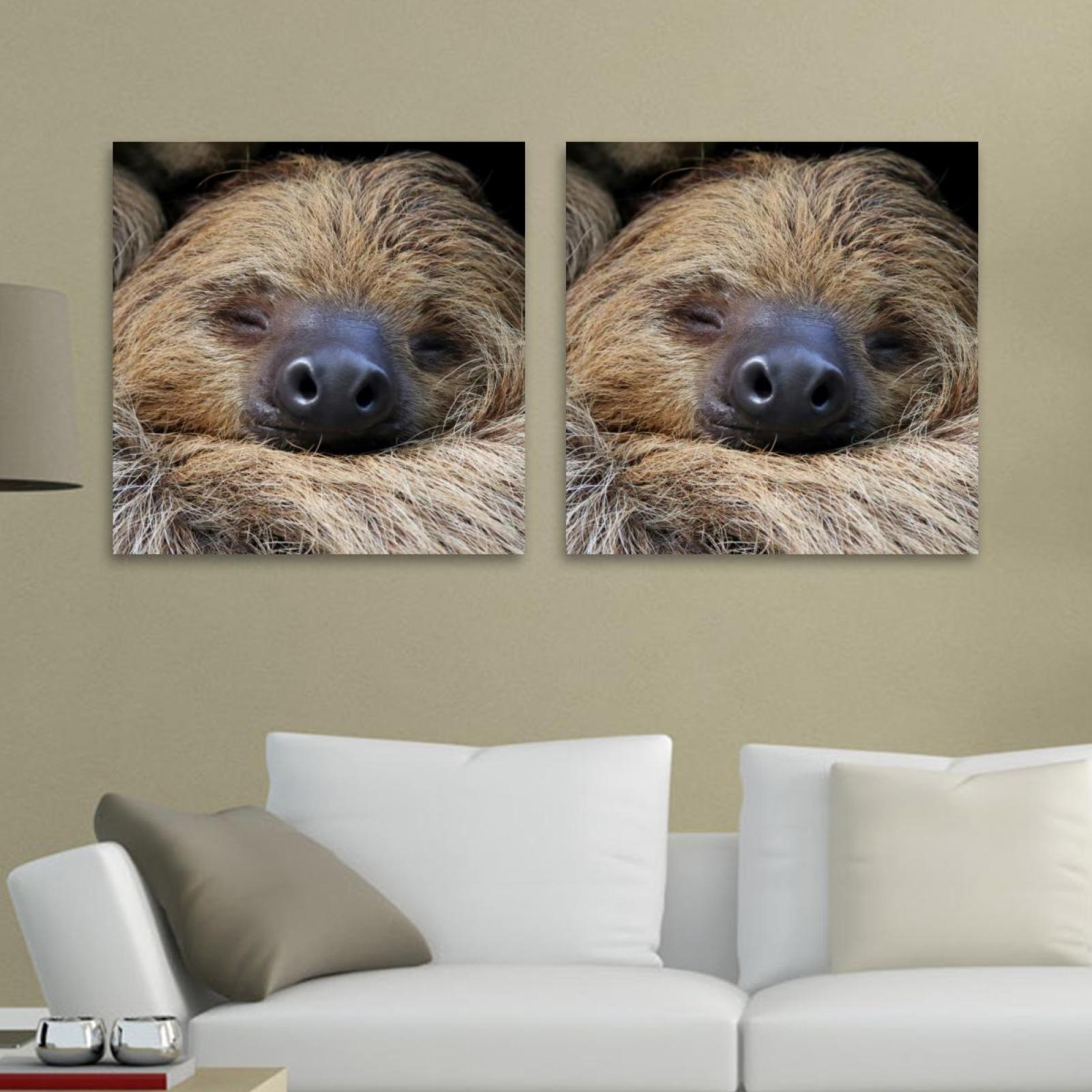 OWNTA Animal Sloth Pattern 2PC Canvas Wall Art Paintings for Living ...