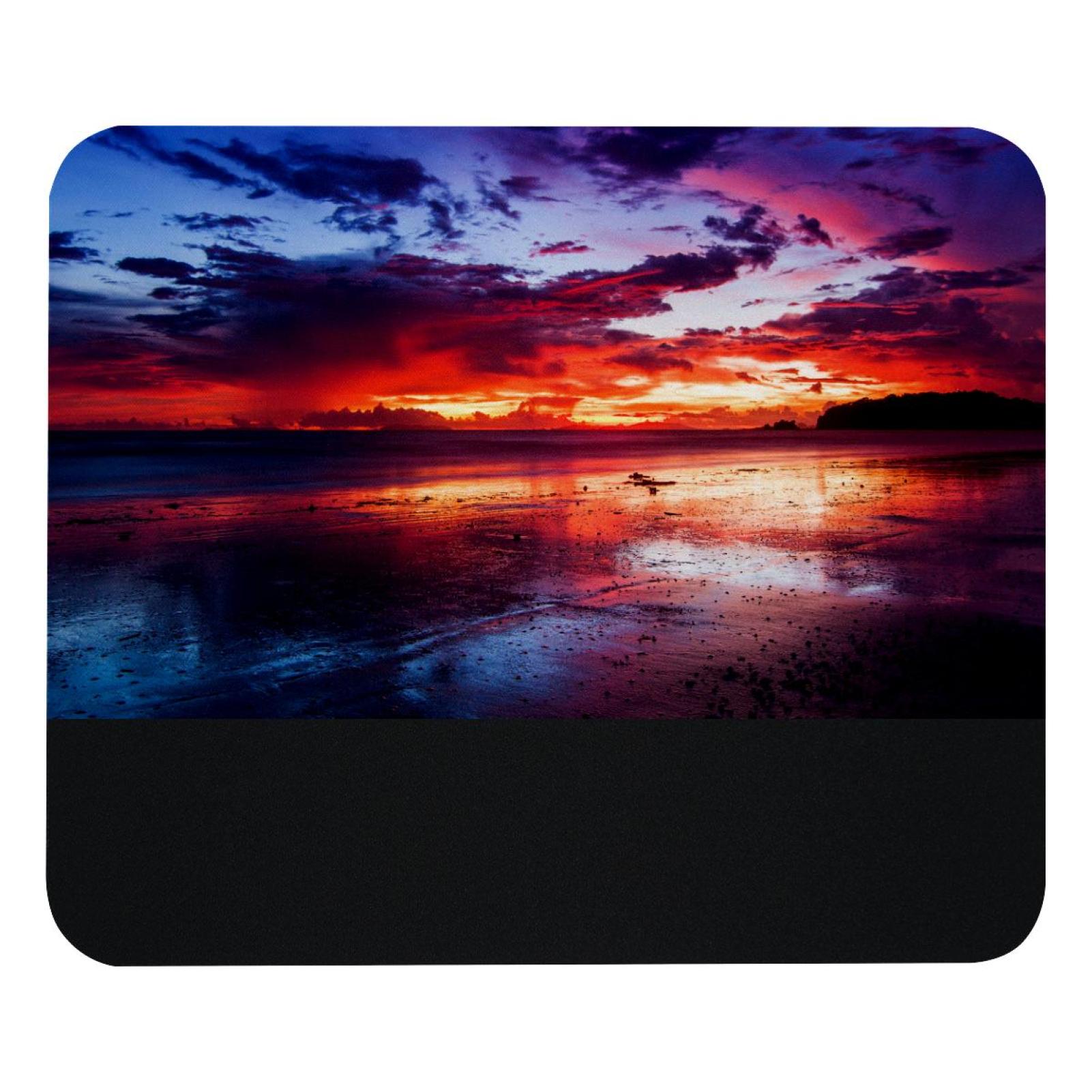 3dRose Thorn Acacia Umbrella Tree on African Plains at Sunset Tropical ...