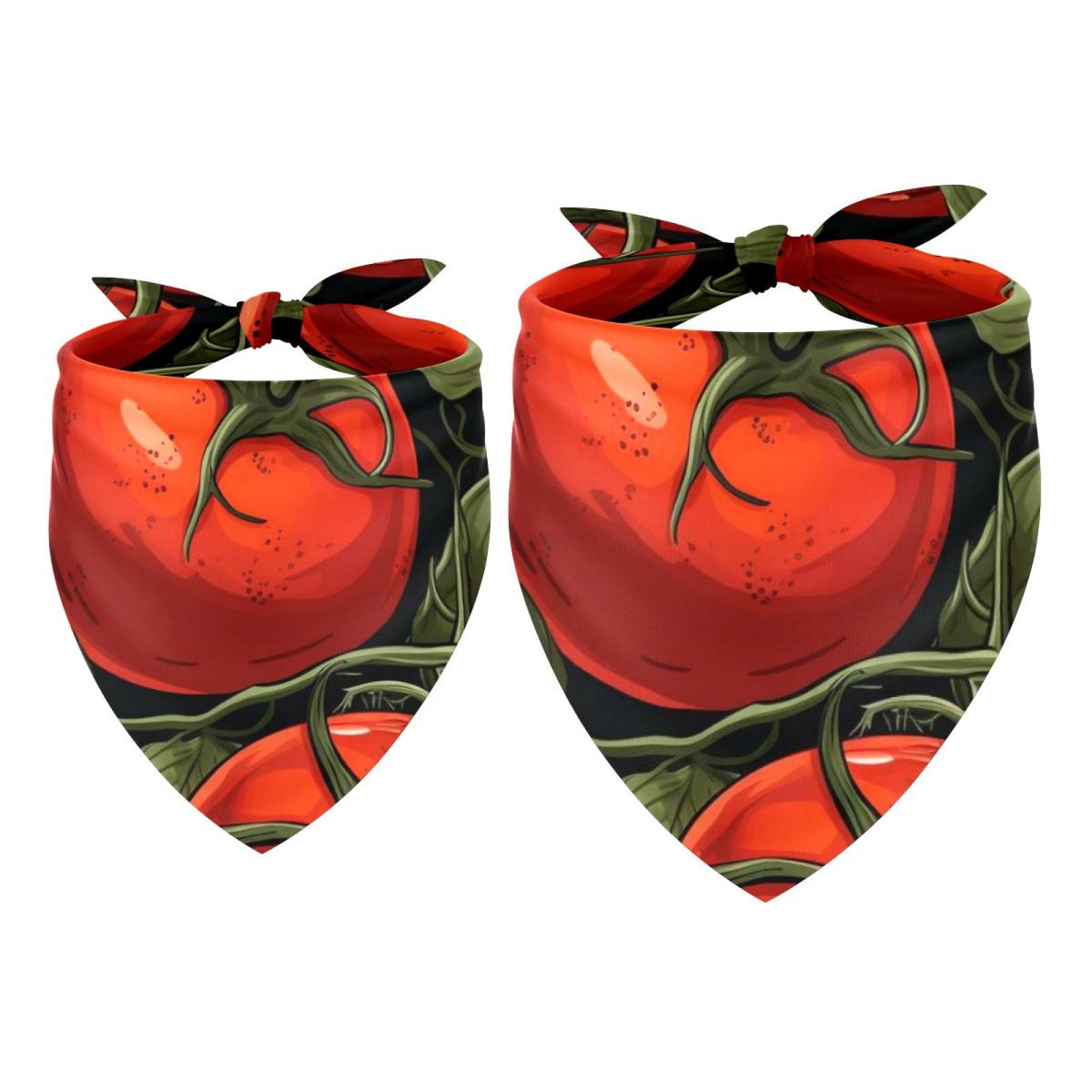 OWNTA Tomato Pattern Pack of 2 Puppy Pet Collars - Translucent Light ...