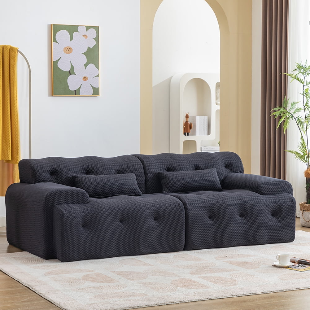 OYang 2 Seater Sofa Furniture, High-Density Pure Foam Comfy Couch, No ...