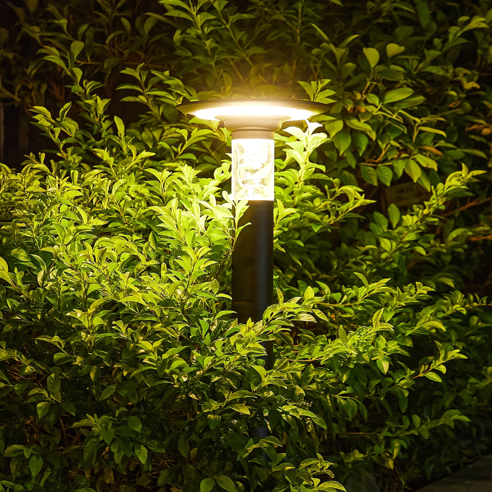 OYang Solar Pathway Lights Outdoor, Landscape Solar Light, IP65 ...