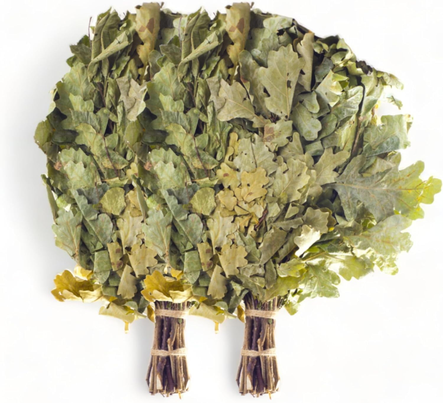 Oak Leaf Banya Bathhouse Sauna Venik (Sealed in a Bag) - Walmart.com