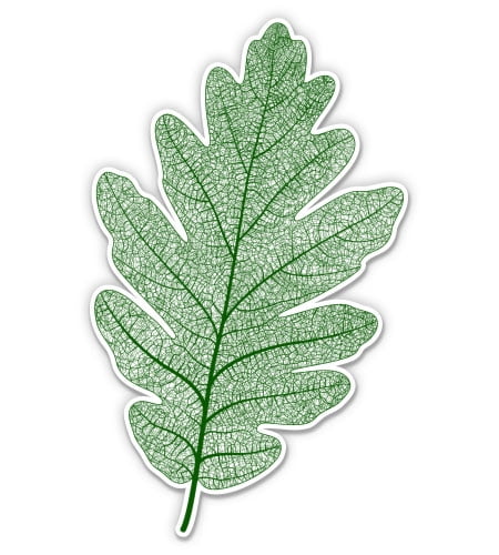 Oak Leaf Nature Tree Biology Science - 5" Vinyl Sticker - For Car ...