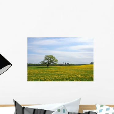 Mushroom Mushrooms Forest Toadstool Wall Decal Mural by Wallmonkeys ...