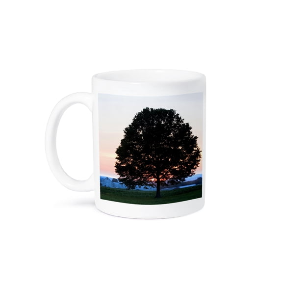 Oak Tree, Hadley, Massachusetts - Us22 Jmo0471 - Jerry And Marcy ...