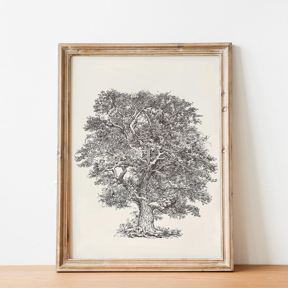 Oak Tree Sketch Print, Tree Sketch Art, Tree Sketches Etching Print ...