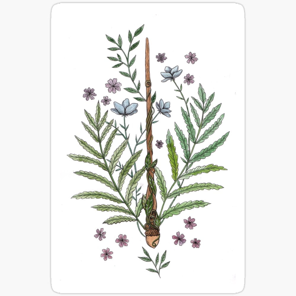 Oak Wand Sticker Phone Decal Water Bottle Stickers Car Decals, Laptop ...