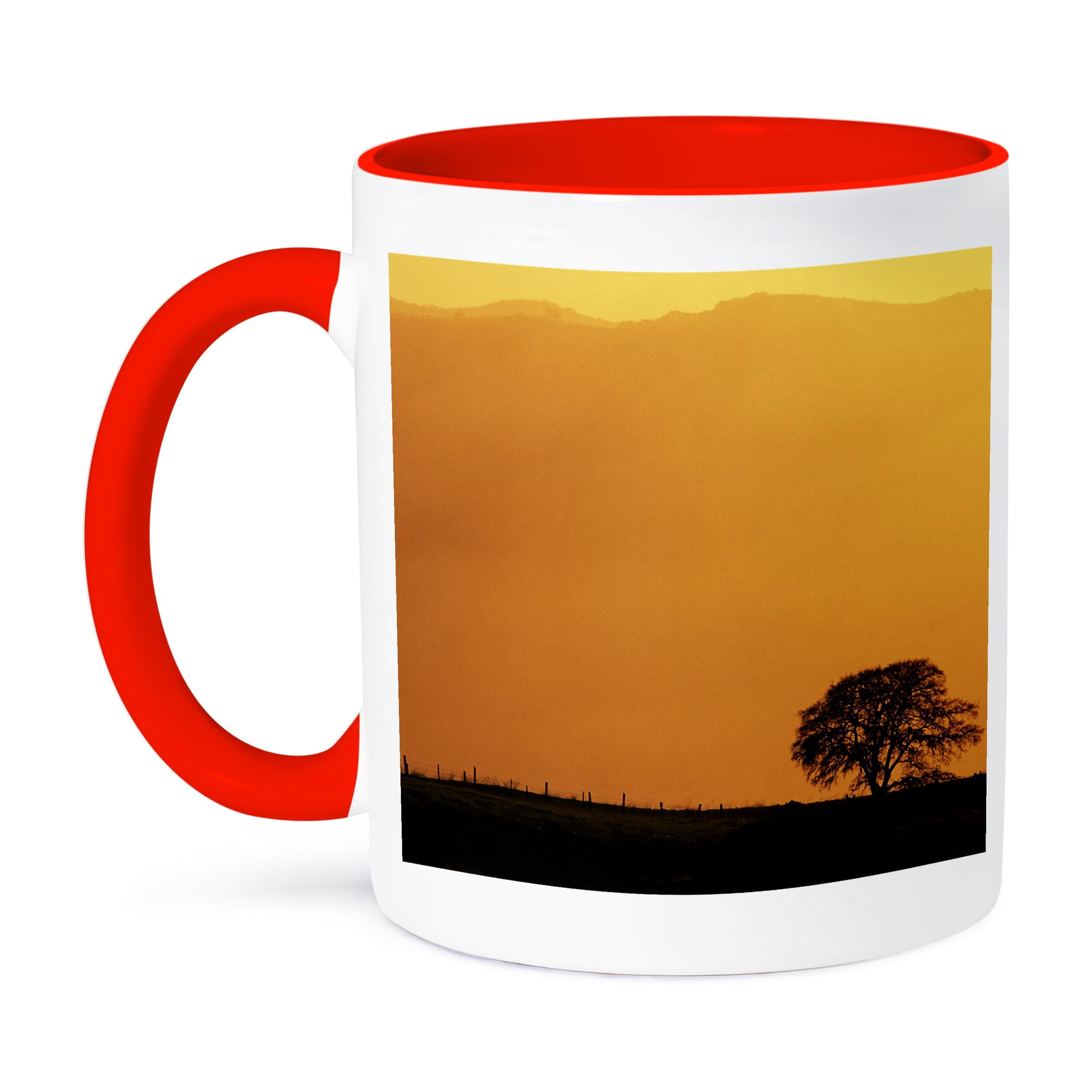3dRose, Oak tree, Mount Diablo State Park, California, USA - US05 ...