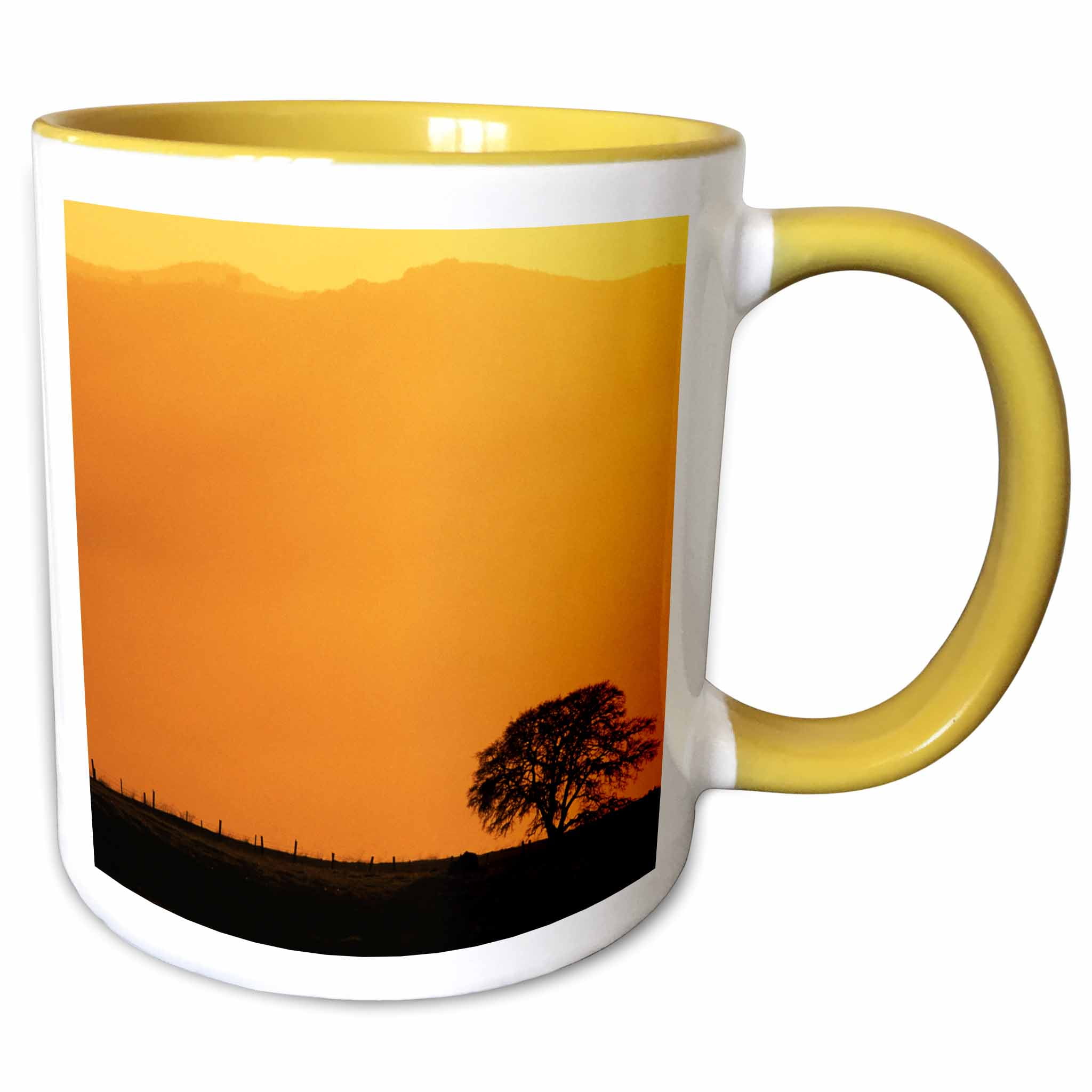 Oak tree, Mount Diablo State Park, California, USA - US05 IHO0175 - Inger Hogstrom 11oz Two-Tone ...