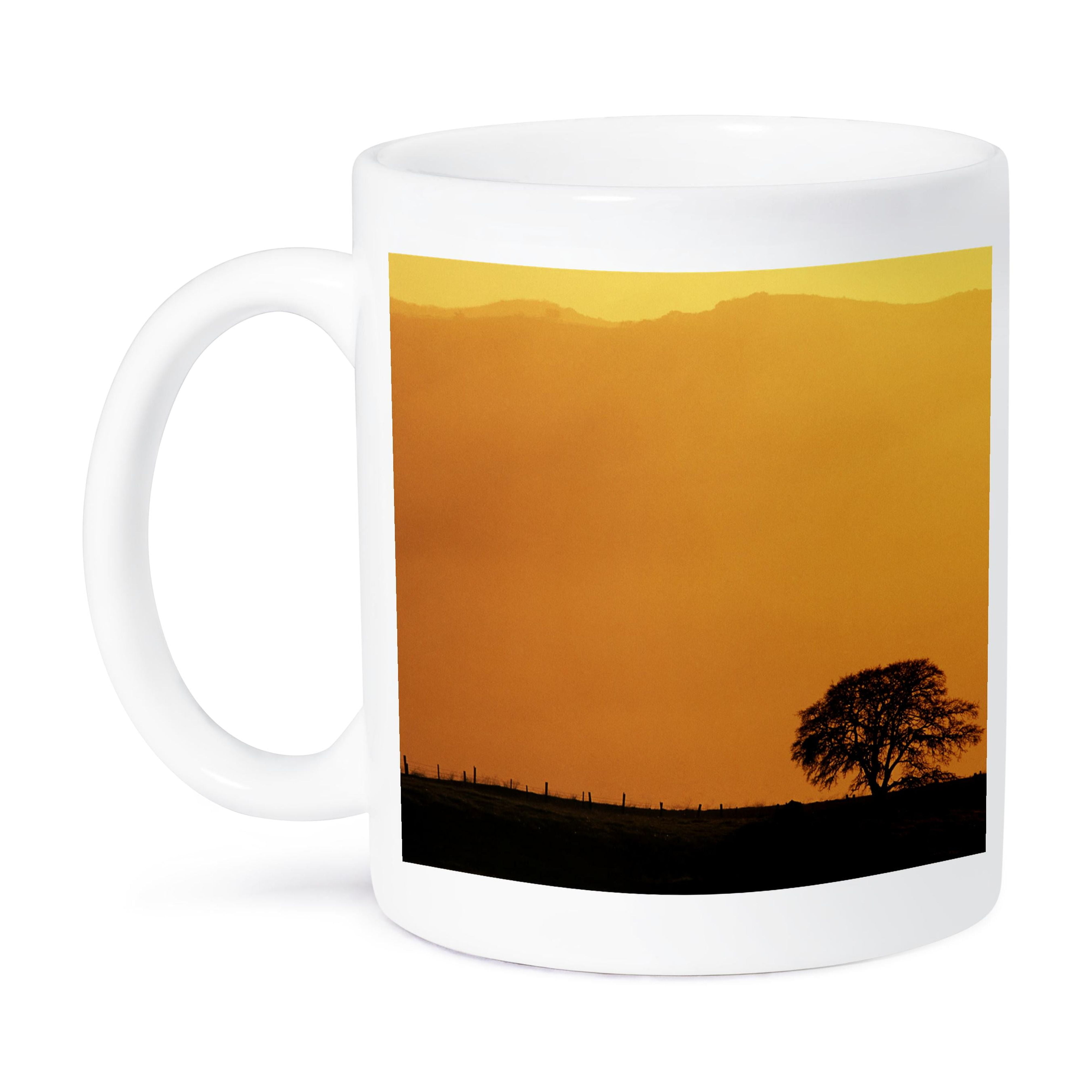 3dRose, Oak tree, Mount Diablo State Park, California, USA - US05 ...