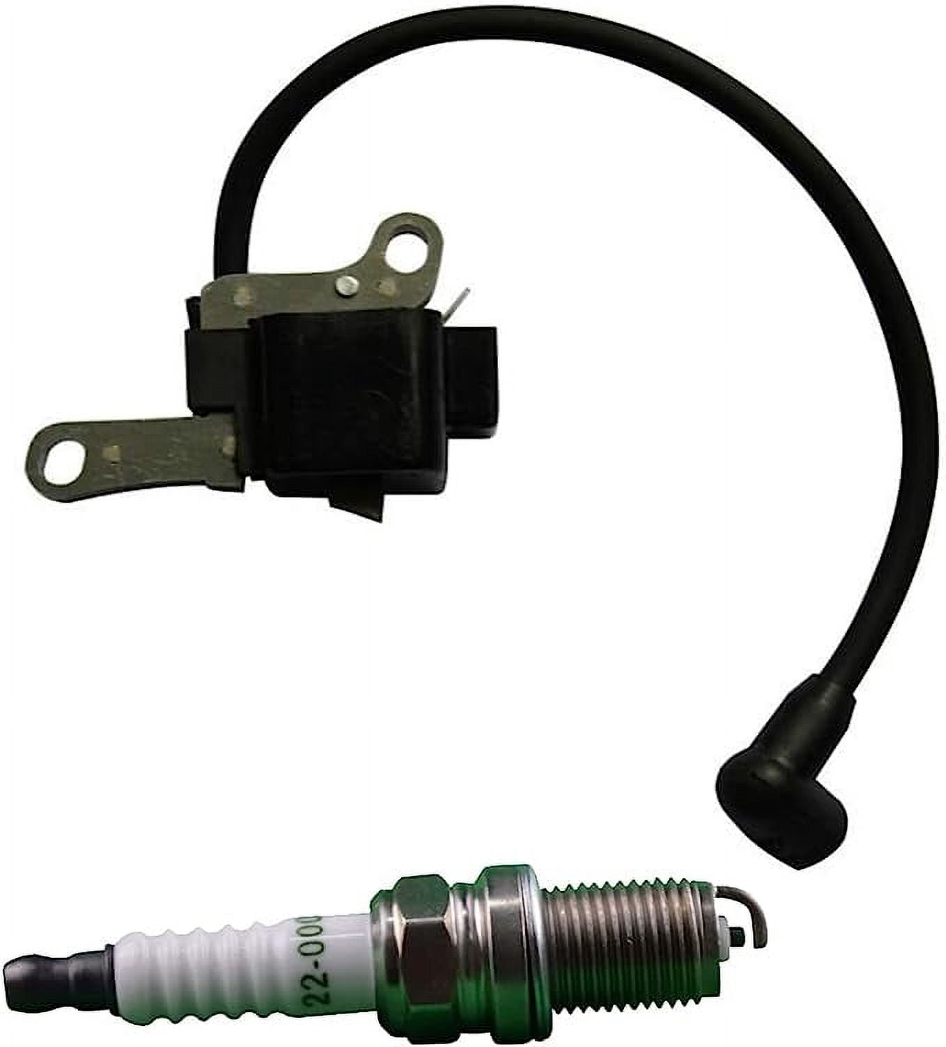 OakTen Ignition Coil Spark Plug Pack for Lawn-boy Silver and Gold ...