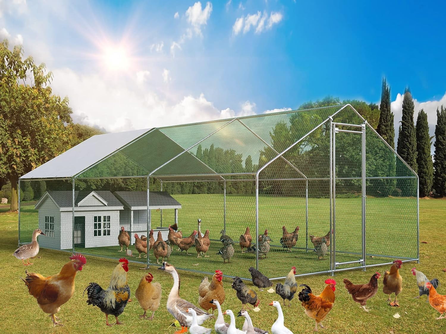 Oarlike Metal Chicken Coop for 20 Chickens Large Chicken Runs for Yard ...