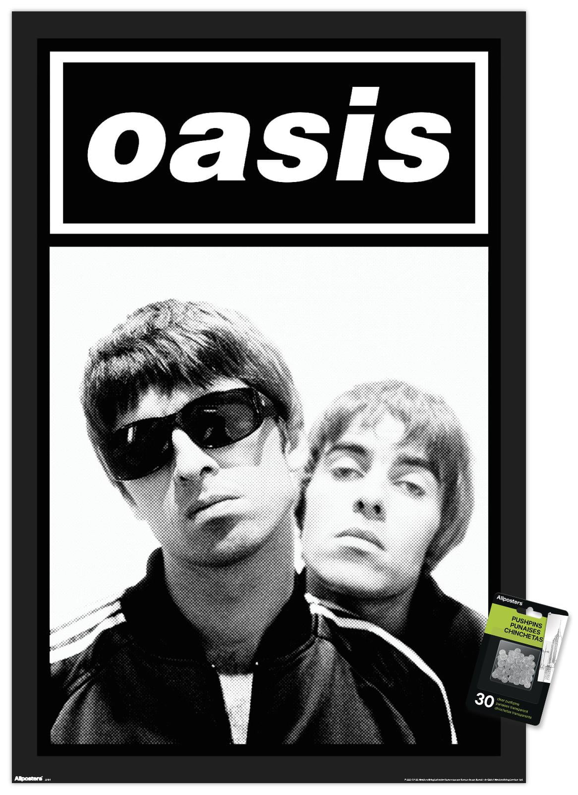 Oasis - Black and White Wall Poster with Push Pins, 22.375" x 34 ...
