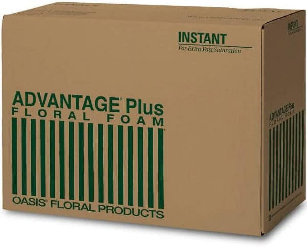 Oasis Floral Foam Blocks, Bulk 48 Pieces - Flower Arrangement - Florist ...